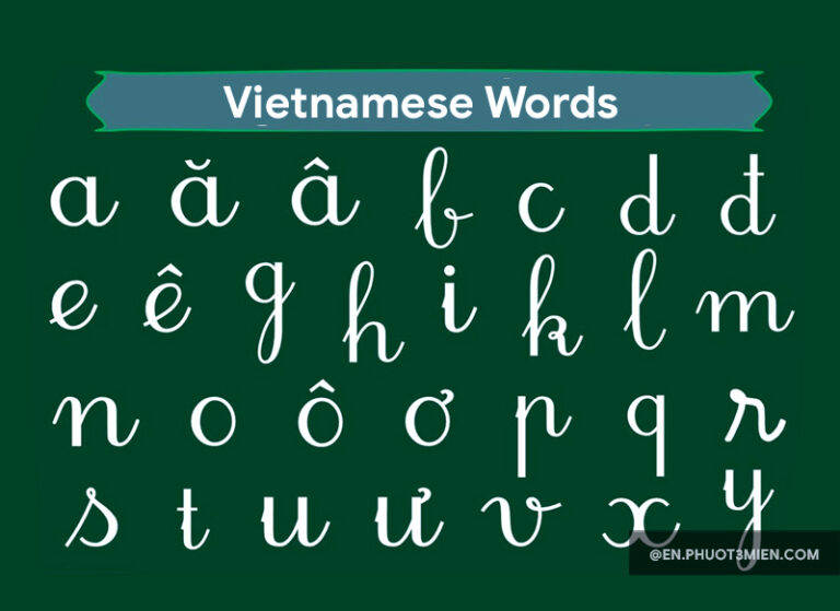 Essential Vietnamese Words and Phrases